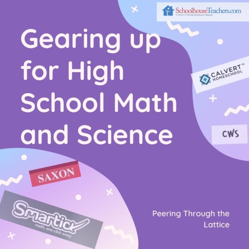 Gearing Up For High School Math And Science Peering Through The Lattice Gearing Up For High School Math And Science Peering Through The Lattice